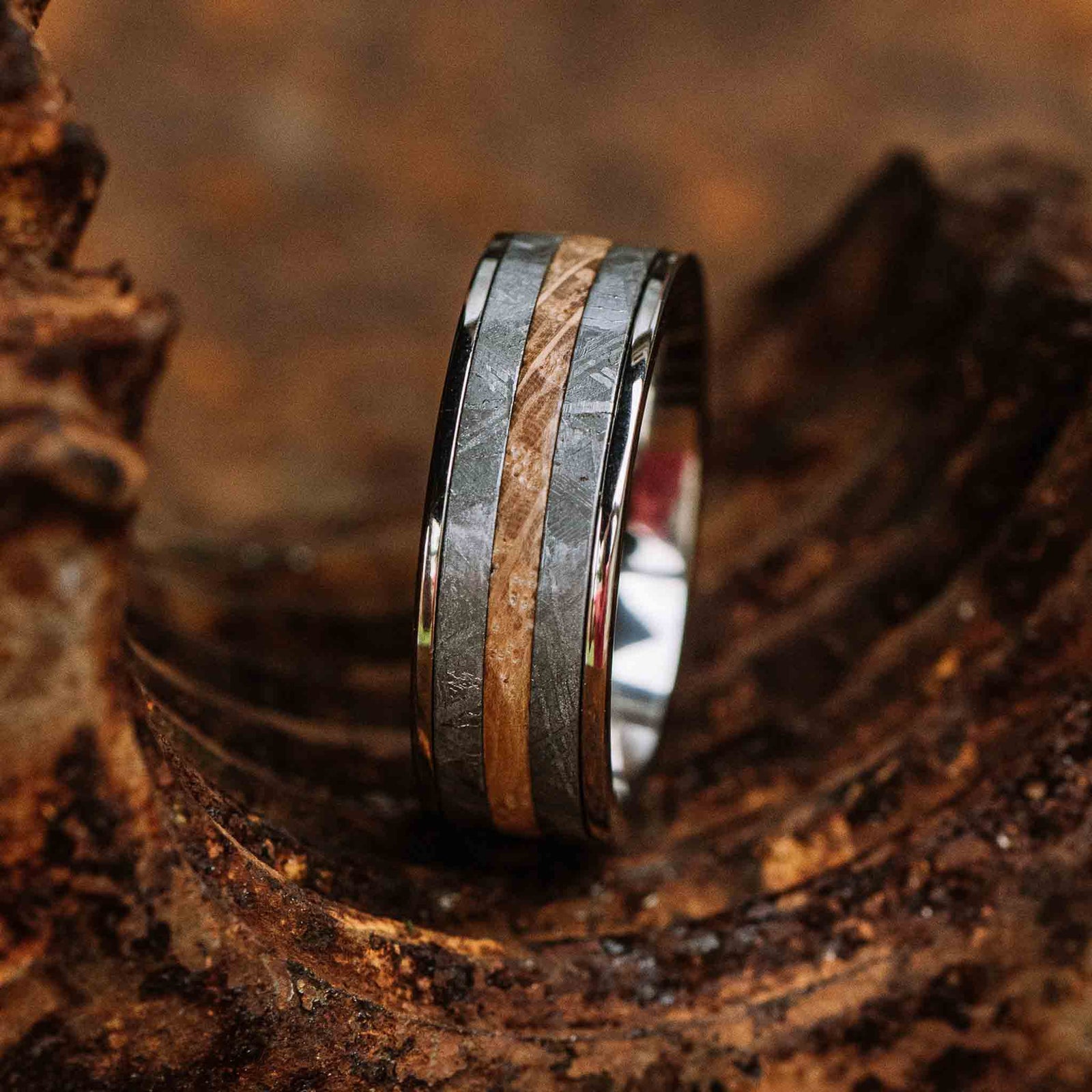 Meteorite Rings Get it now - Orbit Rings